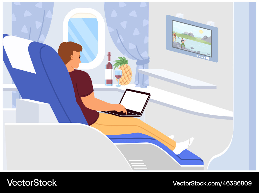 Man vip passenger of business class inside Vector Image