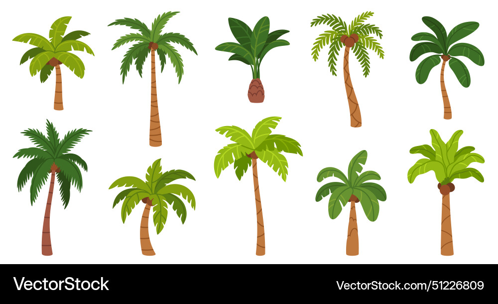 Palm trees cartoon tropical tree with different Vector Image