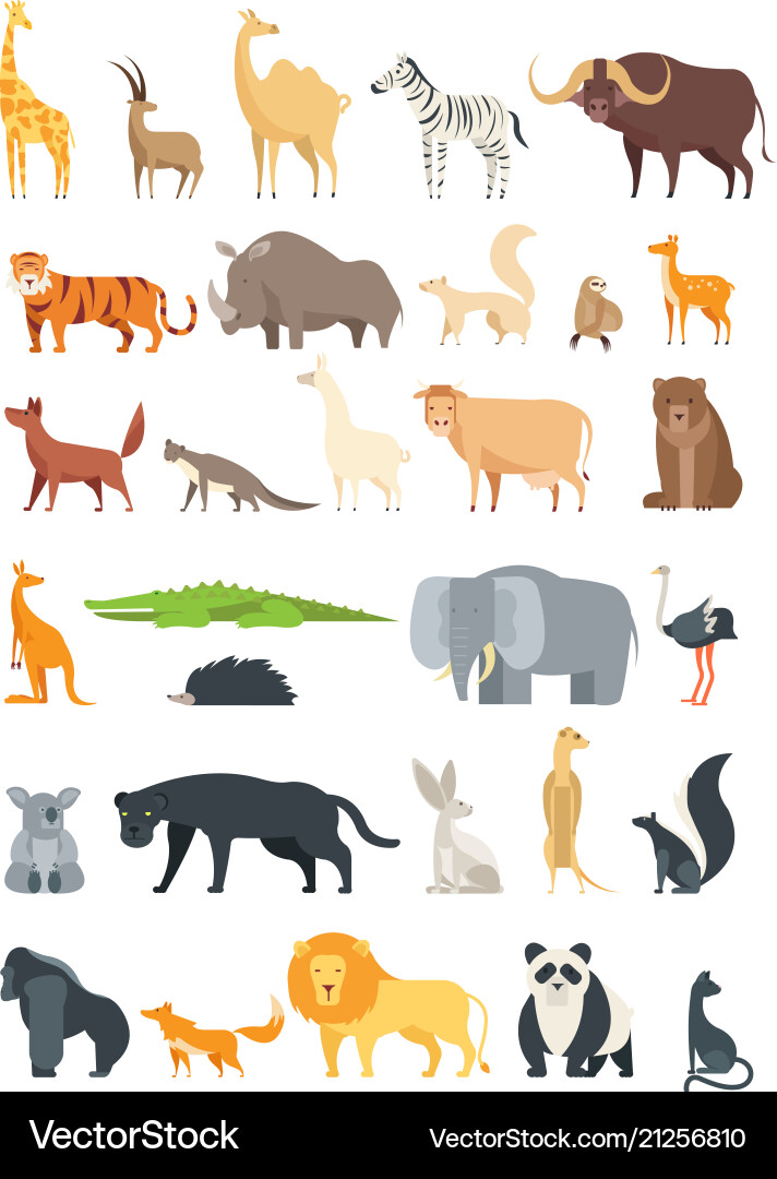 Flat african jungle and forest animals cute Vector Image