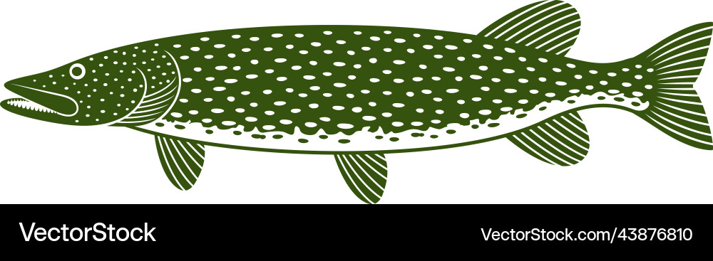 Pike Royalty Free Vector Image - VectorStock