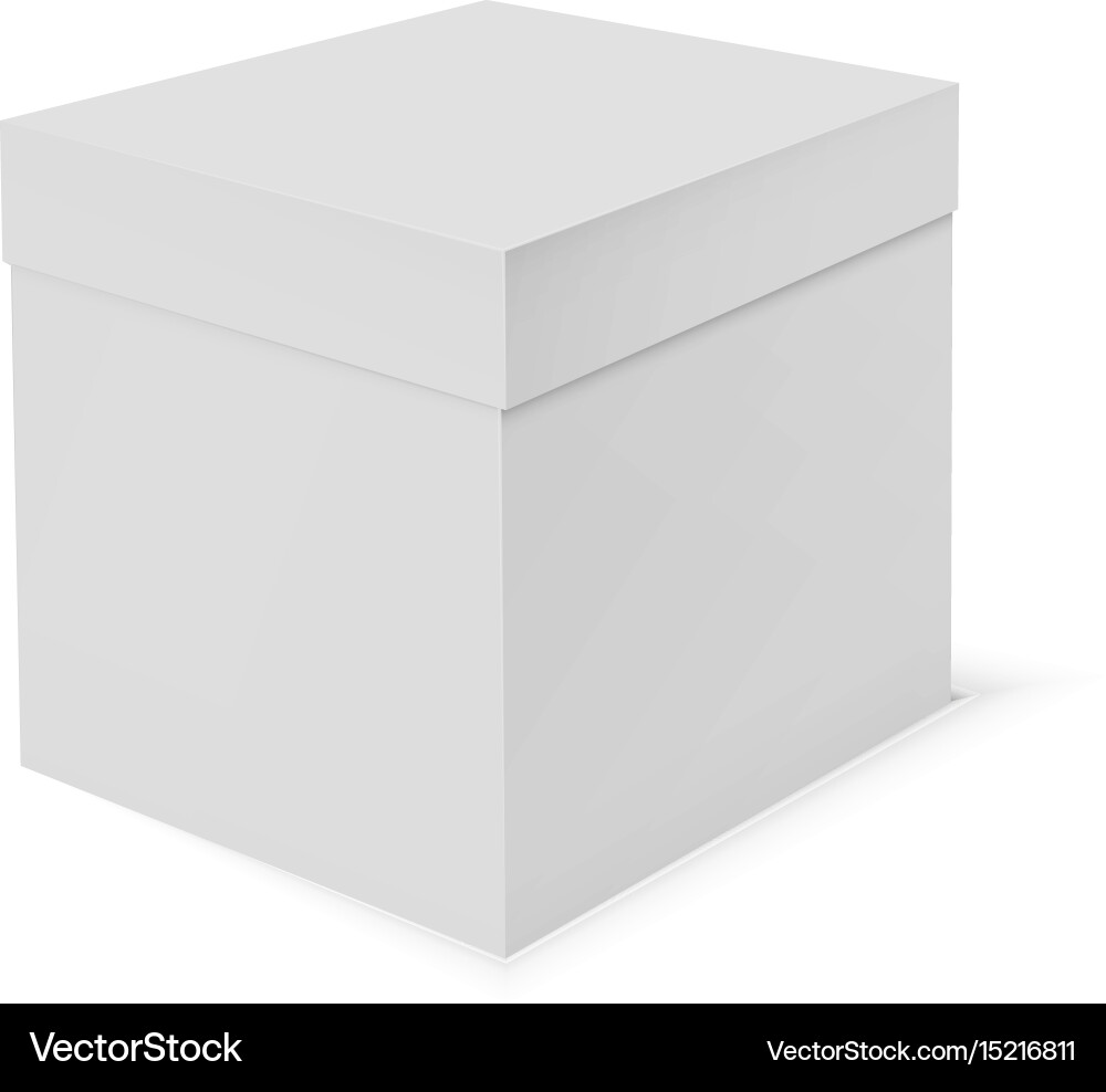 Blank cardboard box template on white background Vector Image