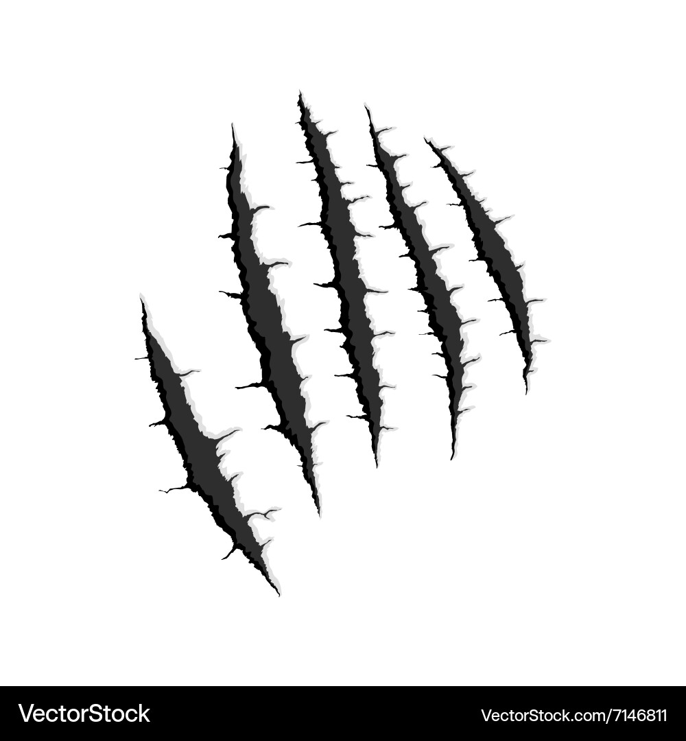Five vertical trace of monster claw Royalty Free Vector