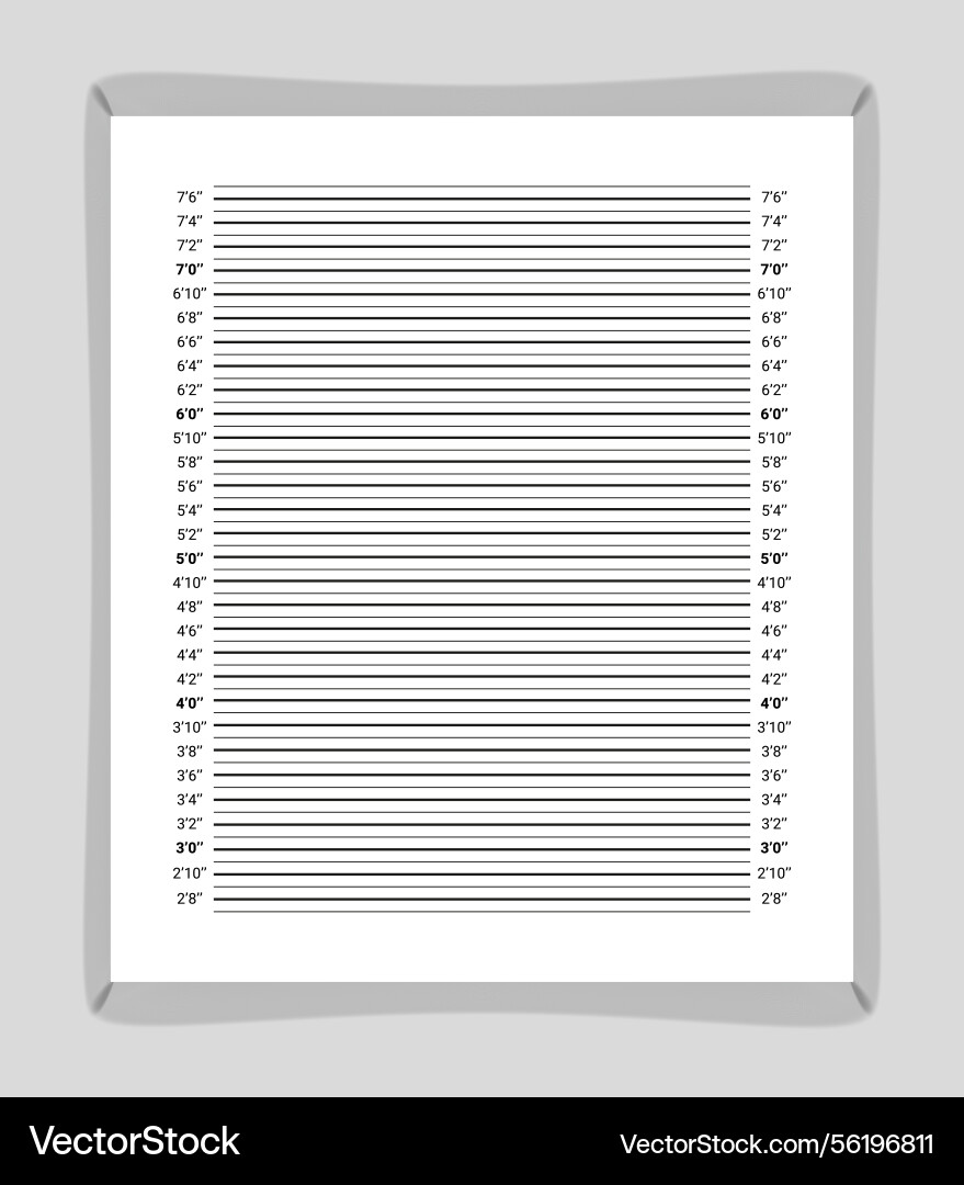 Identification frame for crime arrest mugshot Vector Image