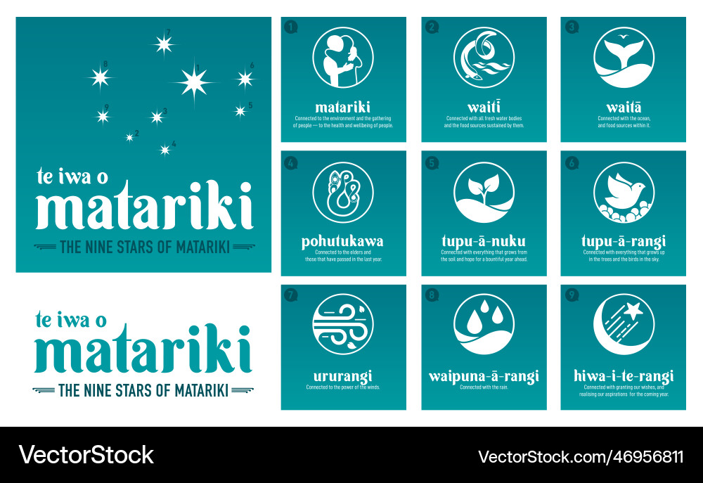 Nz matariki nine stars maori new year Royalty Free Vector