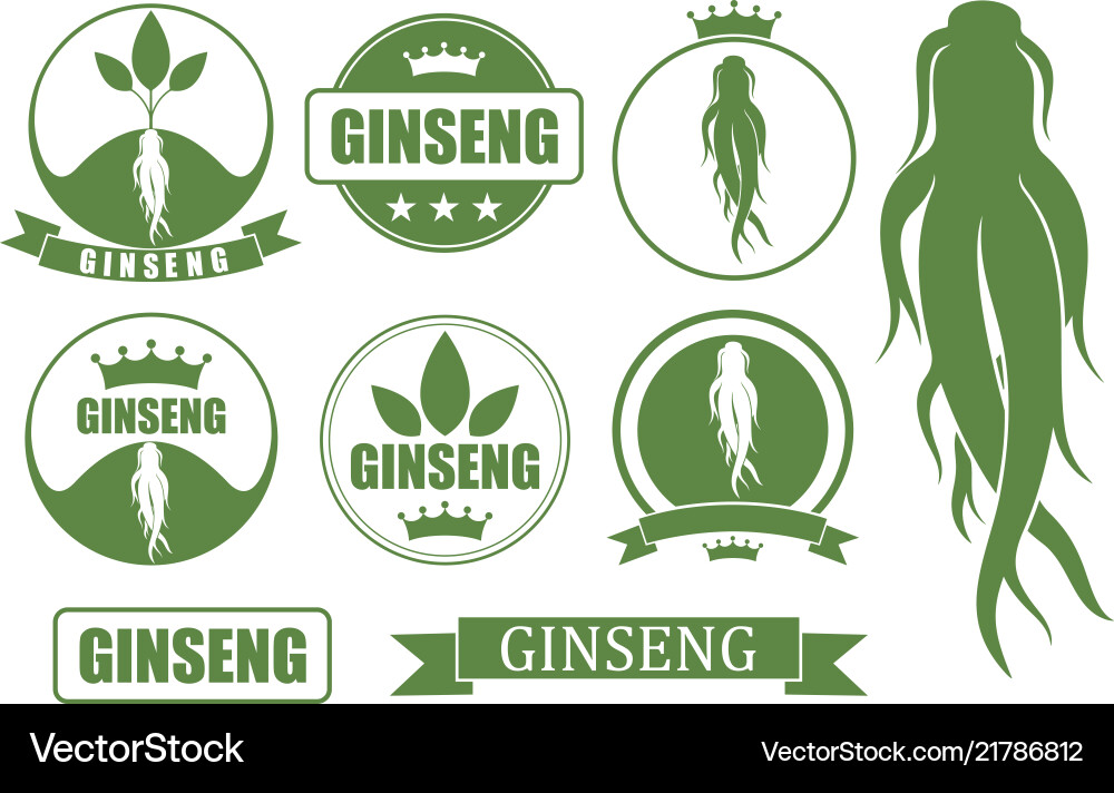 Ginseng Royalty Free Vector Image - VectorStock