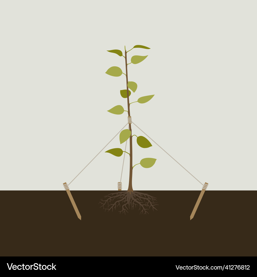 Small planting the tree in ground Royalty Free Vector Image