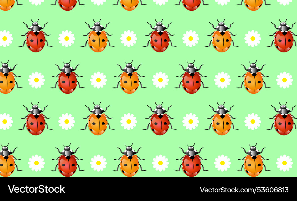 Cute ladybug pattern with flowers Royalty Free Vector Image
