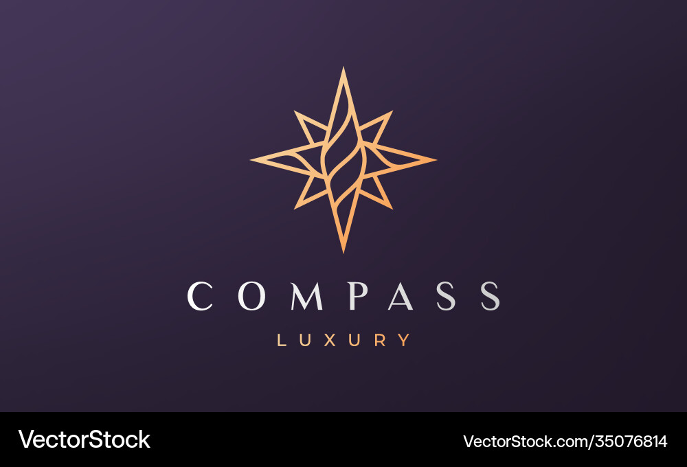 Creative compass logo concept with modern Vector Image