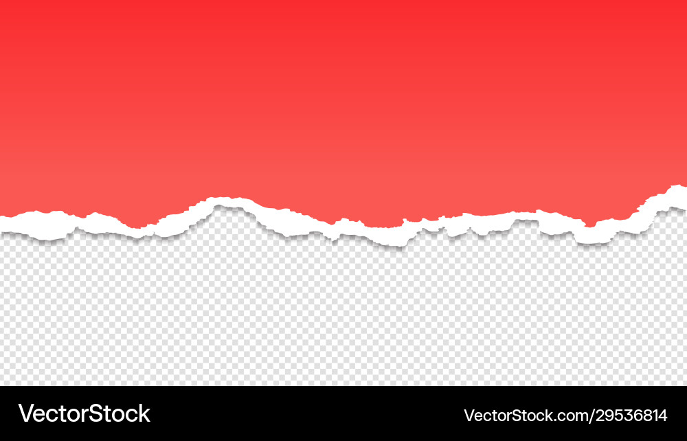 Torn paper half sheet Royalty Free Vector Image