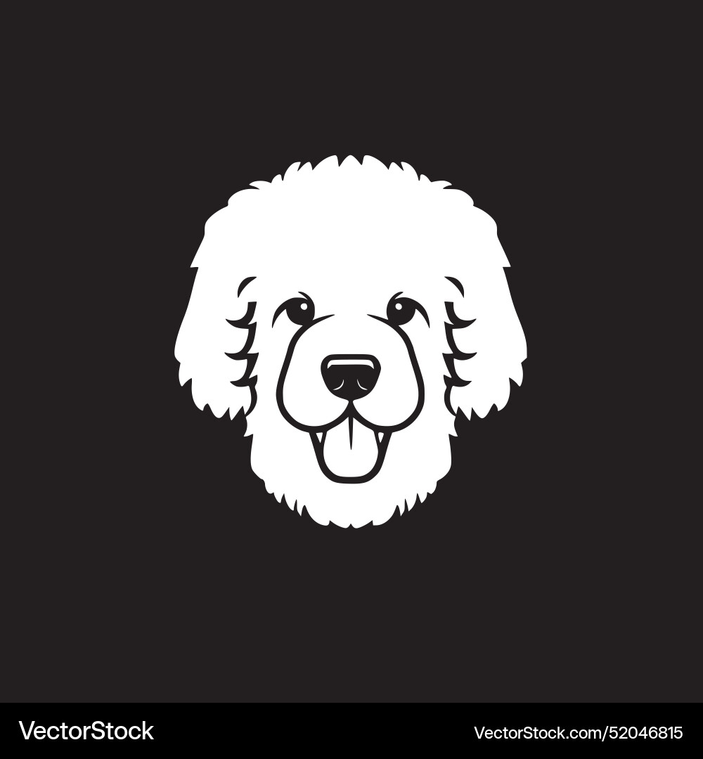 Bichon frise - minimalist and simple silhouette Vector Image