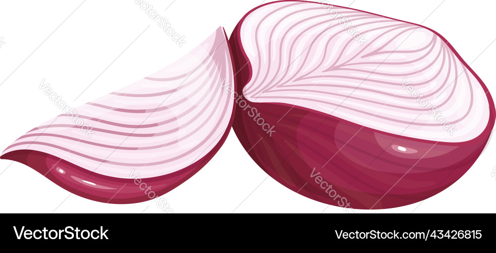 Cut purple onion Royalty Free Vector Image - VectorStock