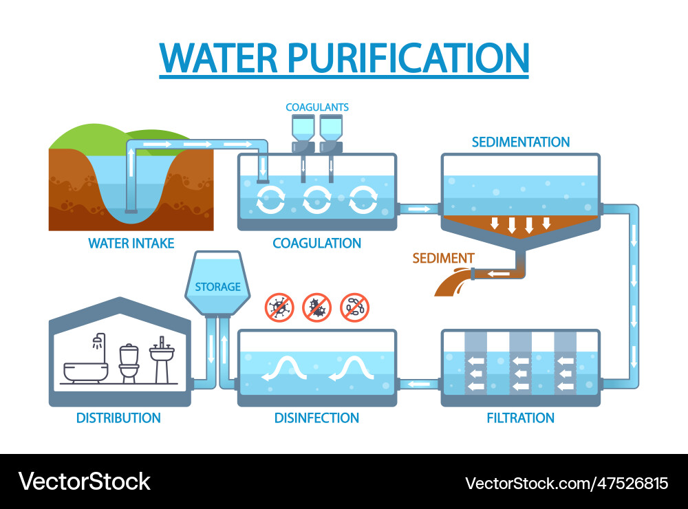 Informative infographics showcasing process Vector Image