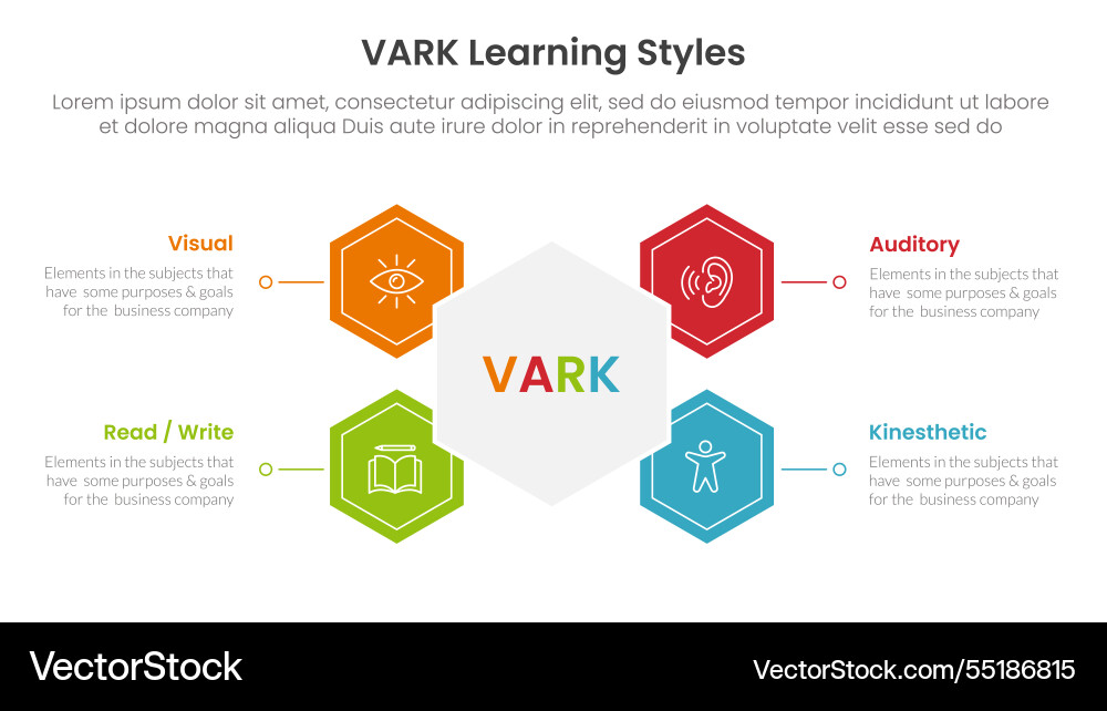Vark Lernstile infographic 4 Punkt Stufe Vektorbild