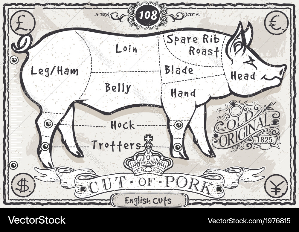 Vintage Pork Cut Illustration Royalty Free Vector Image