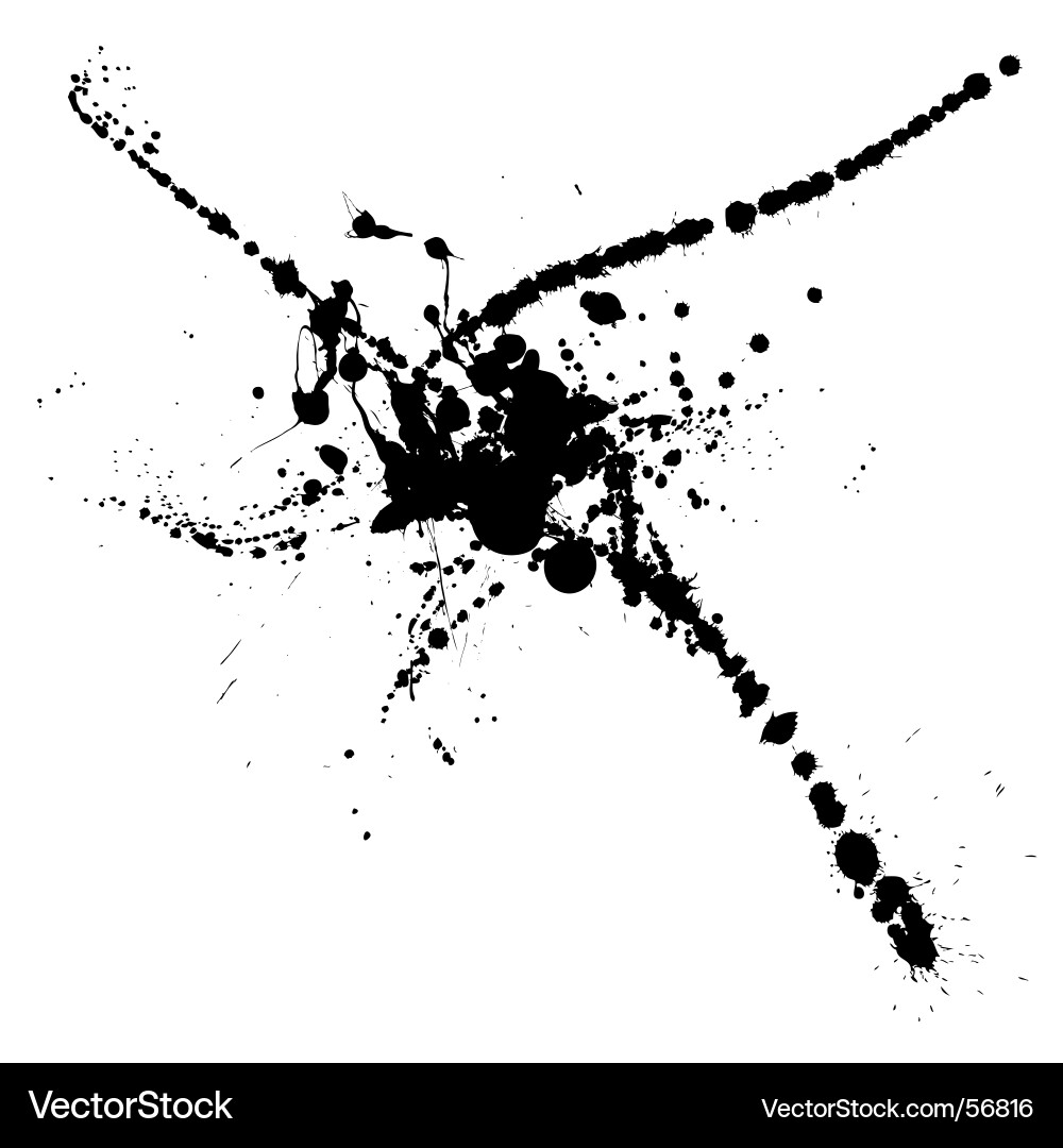Splat spread Royalty Free Vector Image - VectorStock