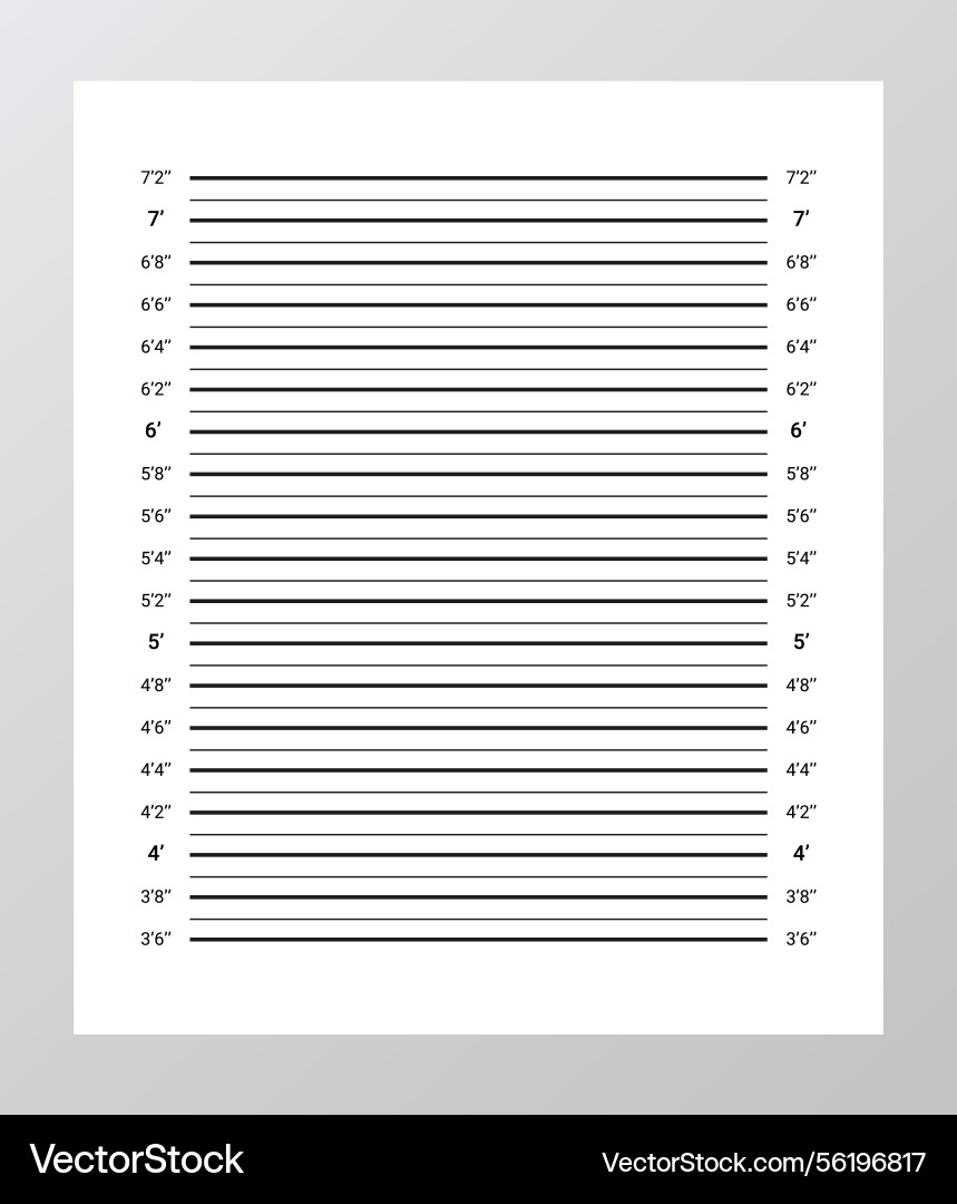 Identification frame for crime arrest wall Vector Image