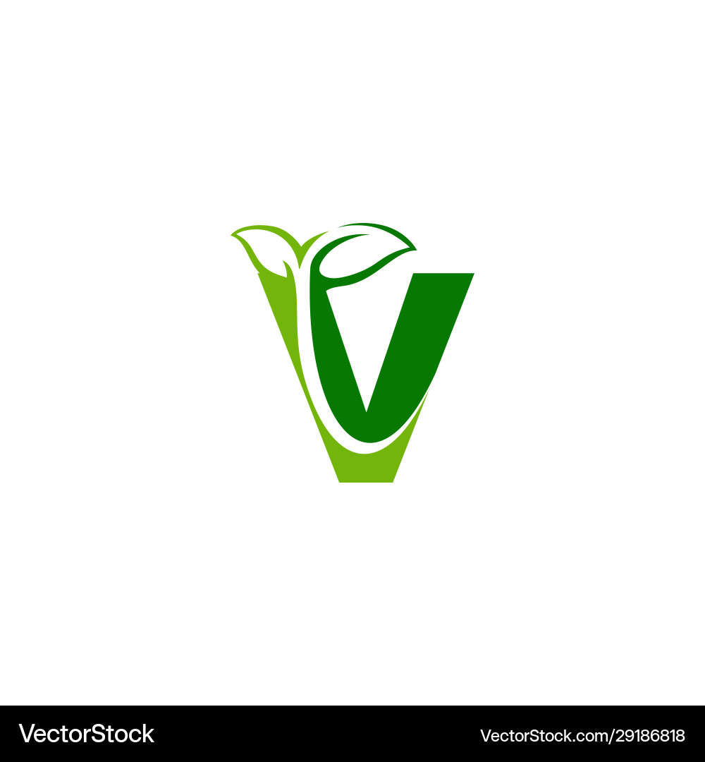 Combination green leaf and initial letters v Vector Image