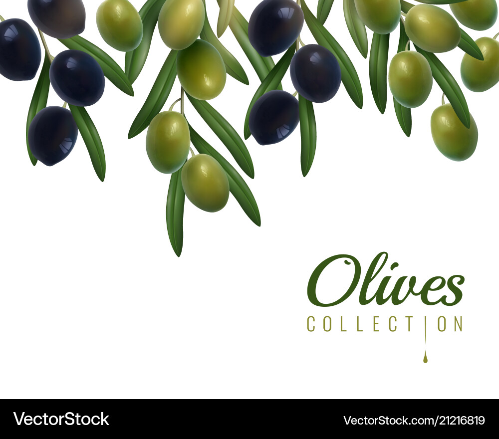 Realistic olives background Royalty Free Vector Image