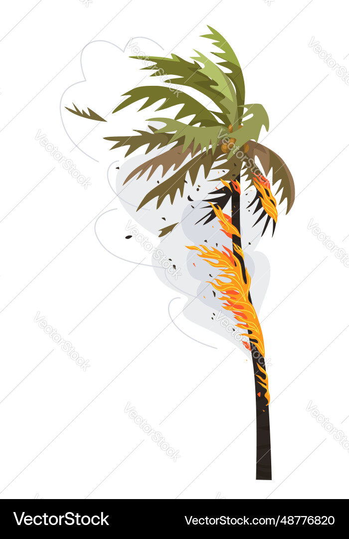 Burning palm tree isolated on white wild fire Vector Image