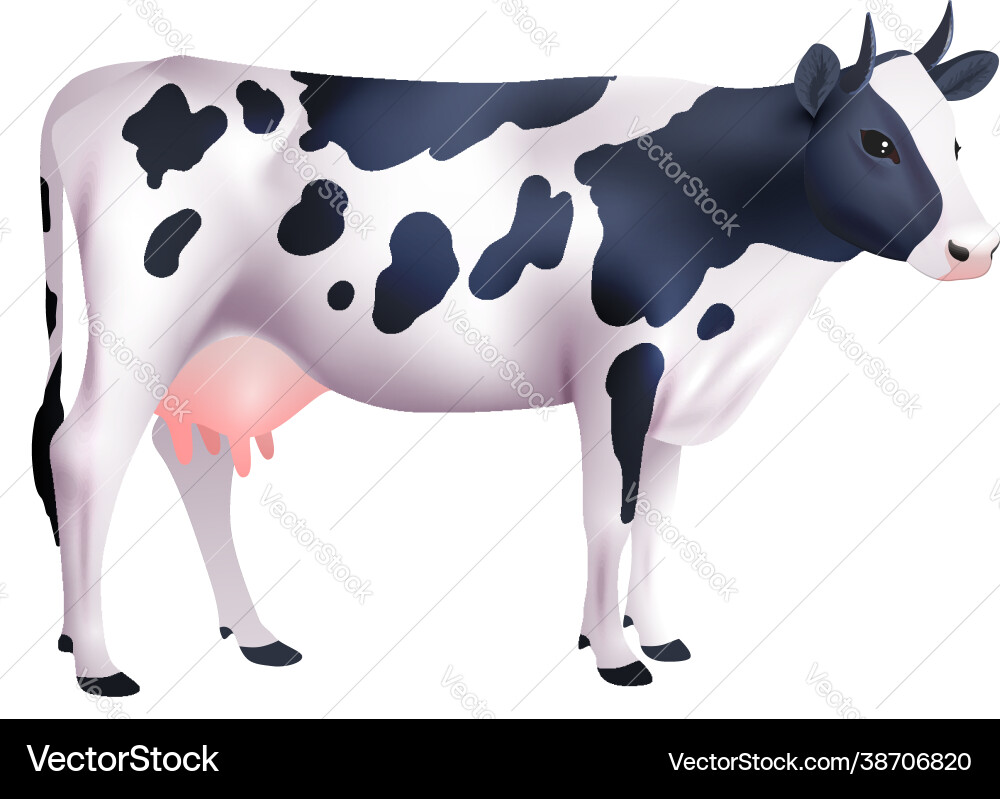 Cow realistic Royalty Free Vector Image - VectorStock