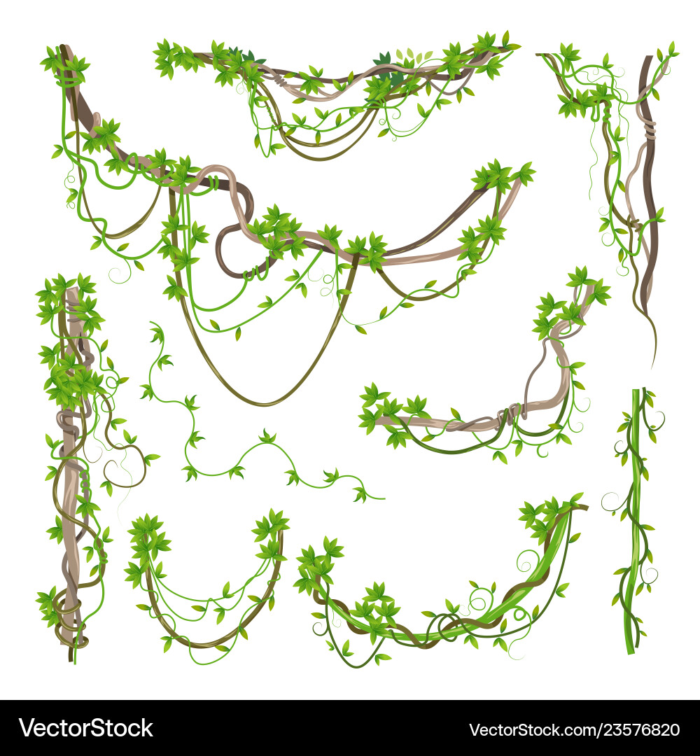 Creeper Plant Vector Images (over 2,100)