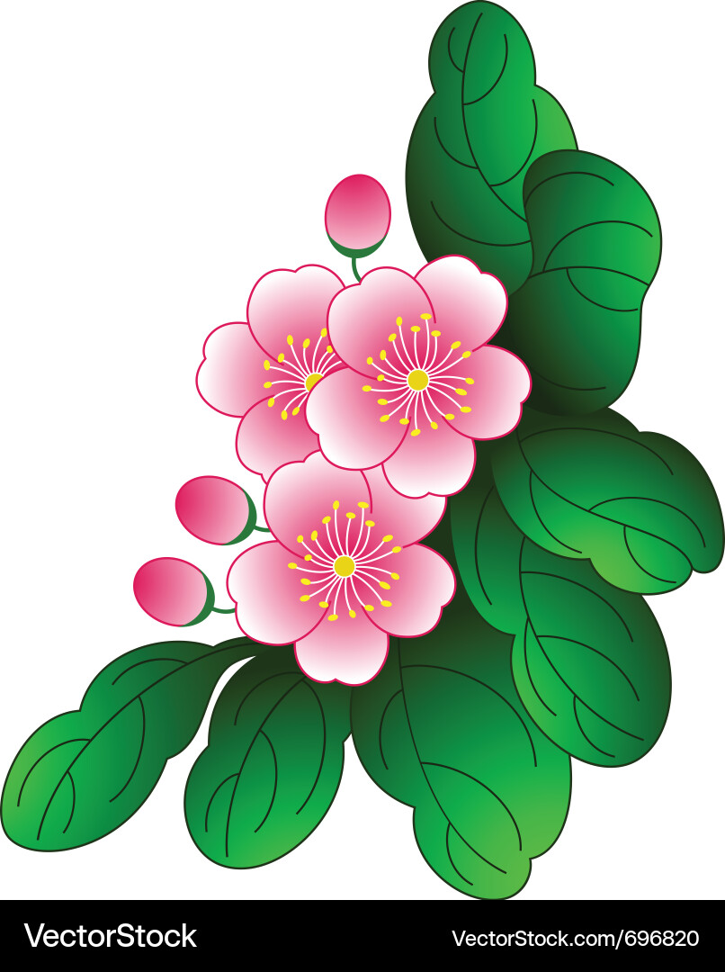Spring flower Royalty Free Vector Image - VectorStock