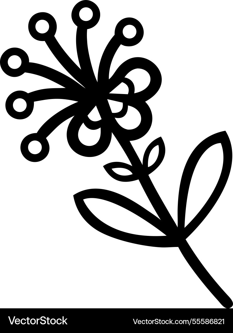 Australia wattle flower icon Royalty Free Vector Image