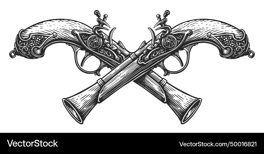 Crossed guns two flintlock pistols firearms Vector Image