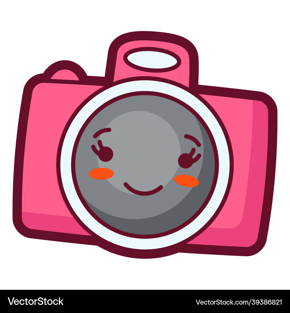 Photo camera in cartoon style Royalty Free Vector Image