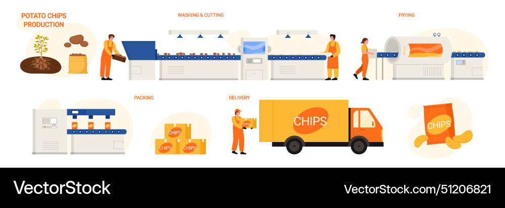 Potato chips production stages and infographic Vector Image