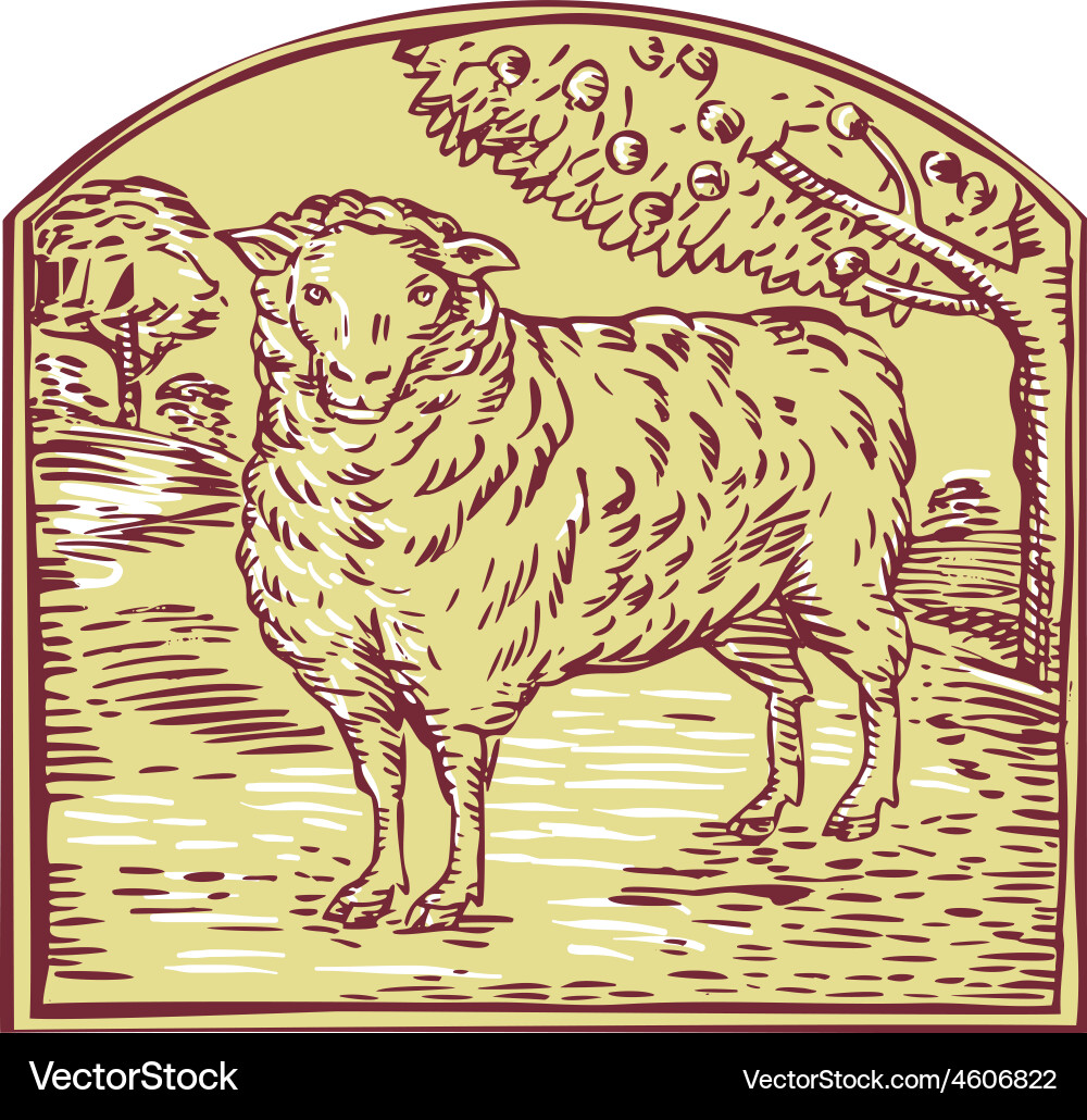 Sheep side pasture tree etching Royalty Free Vector Image
