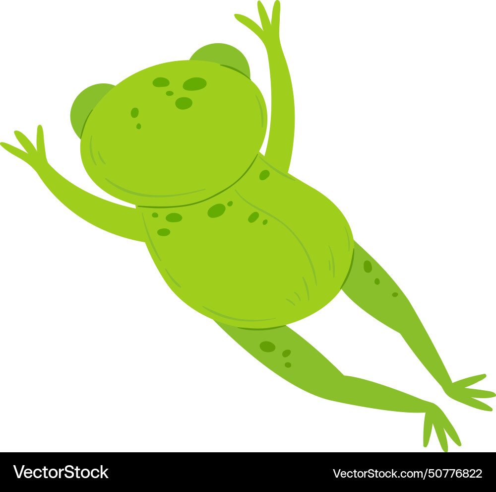 Swimming frog top view cute animal back Royalty Free Vector