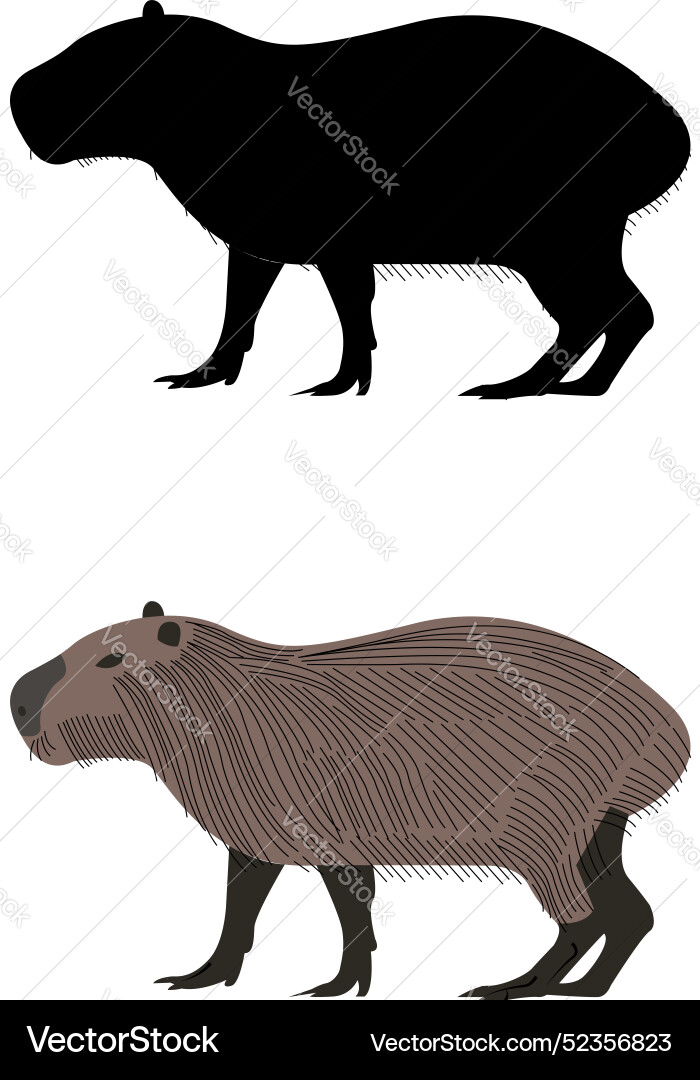 Capybara icons Royalty Free Vector Image - VectorStock