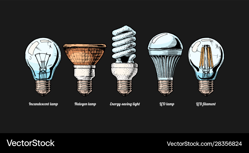 Evolution set light bulb Royalty Free Vector Image