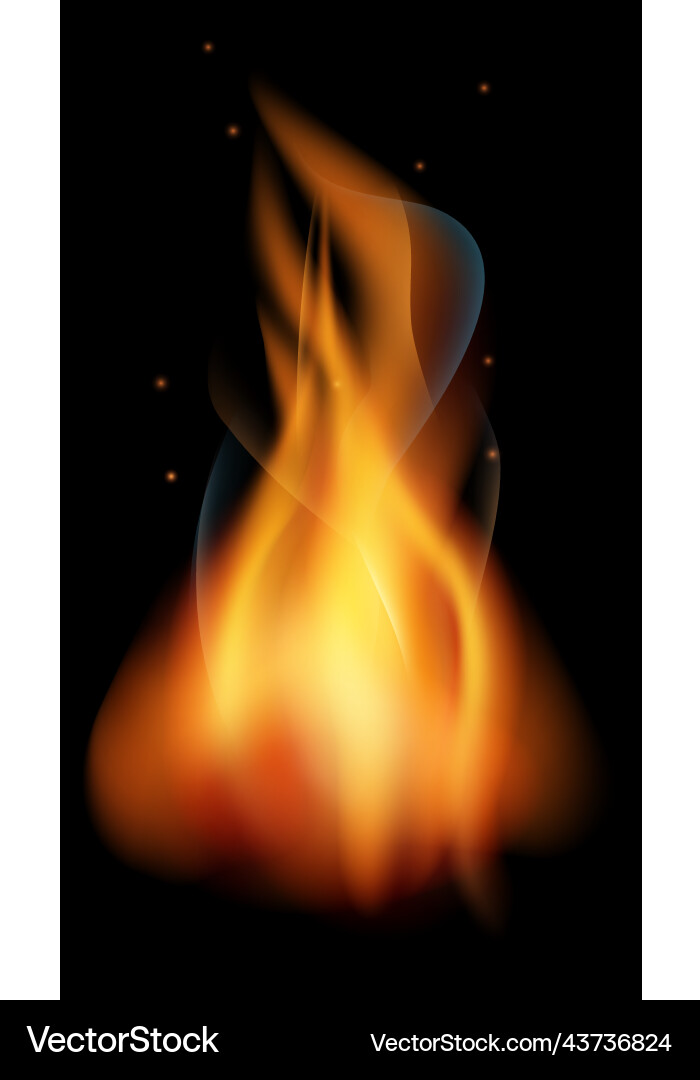 Firing blaze realistic flame burning light Vector Image