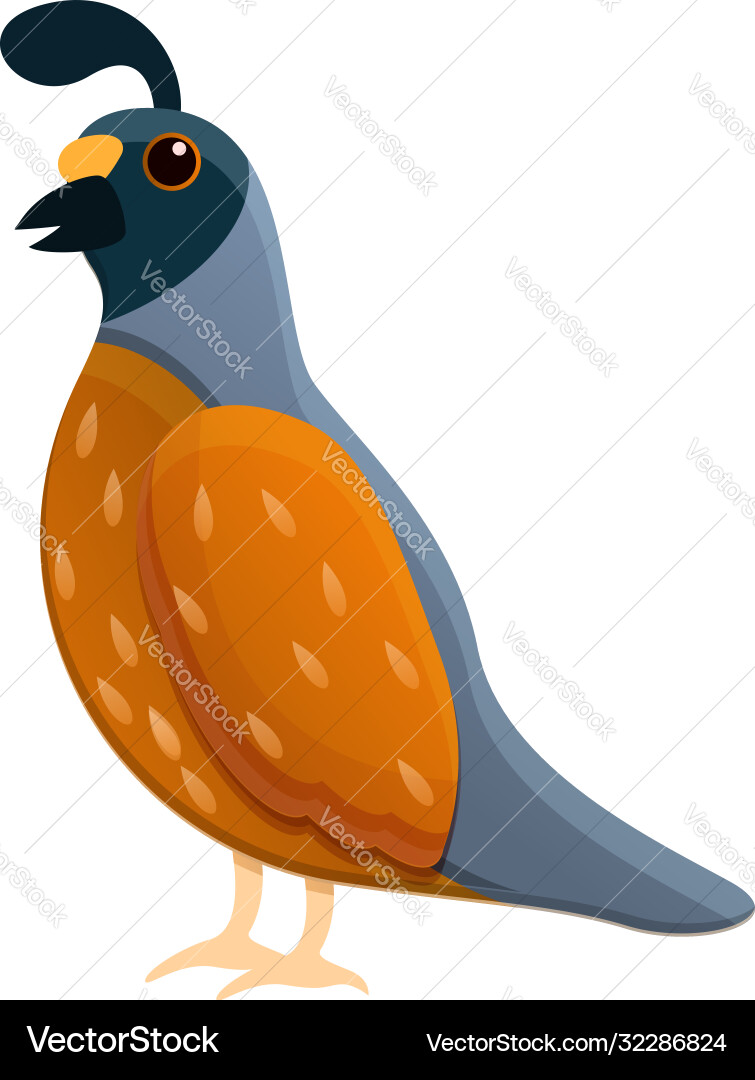 Quail animal icon cartoon style Royalty Free Vector Image