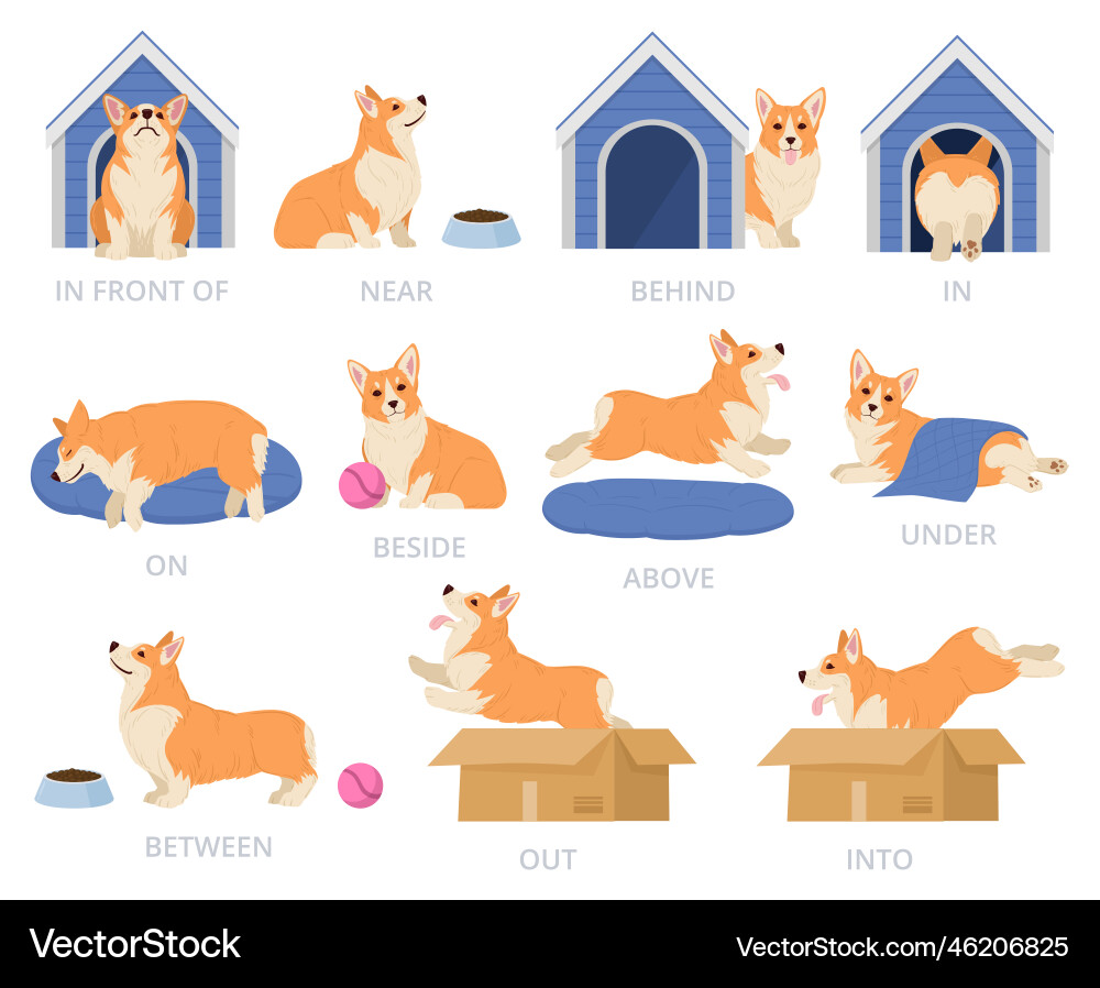Cartoon english prepositions with puppy cute dogs Vector Image
