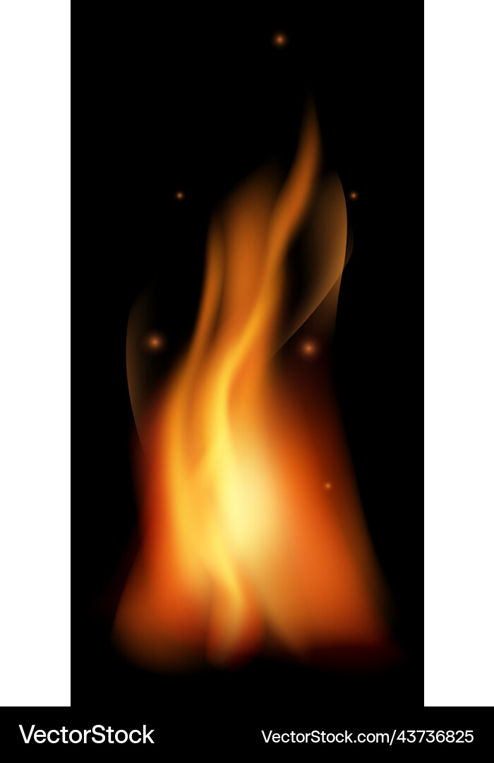 Fire light mockup realistic burning flame heat Vector Image