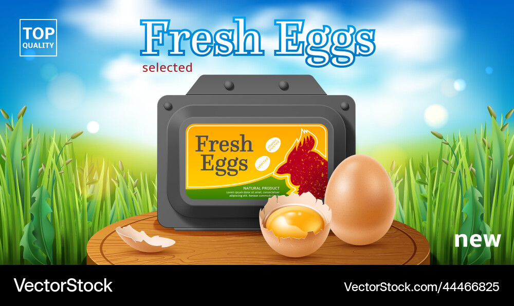 Realistic eggs poster cardboard packaging farm Vector Image