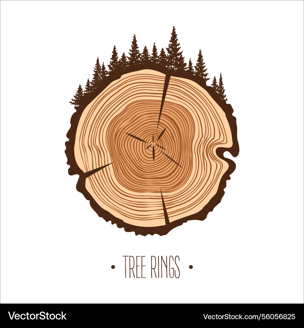 Round tree trunk cut with trees and forest sawn Vector Image