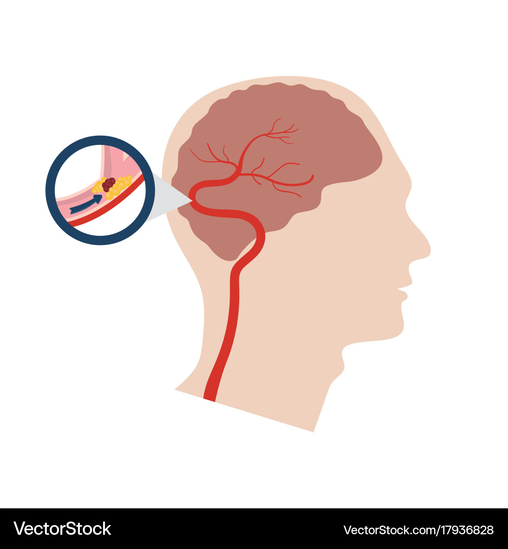 A stroke Royalty Free Vector Image - VectorStock