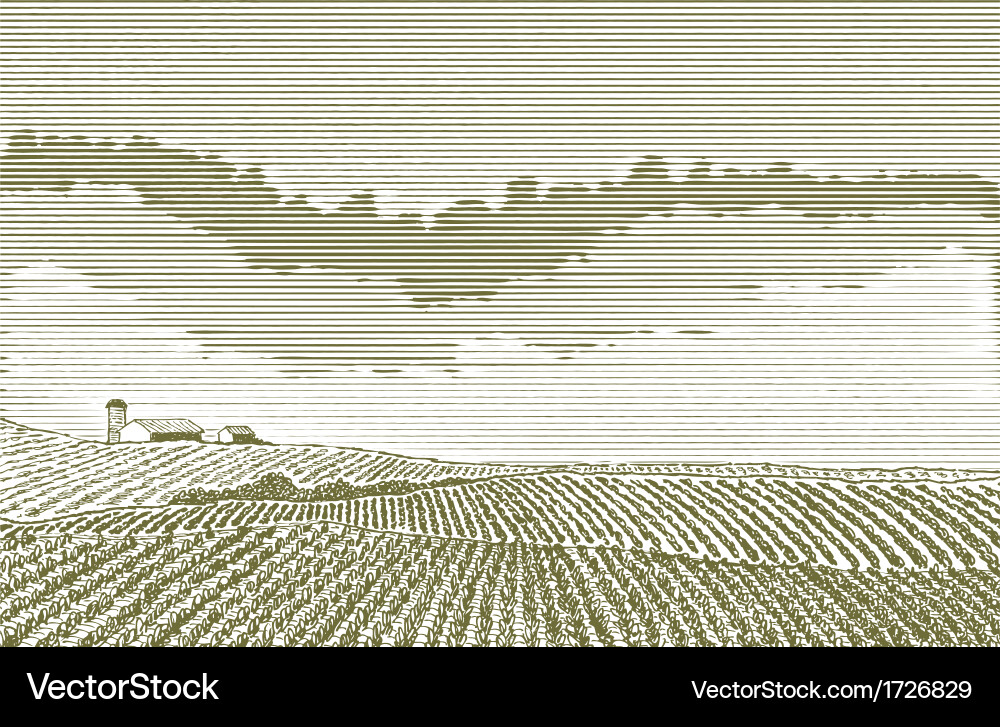 Farm field drawing Royalty Free Vector Image - VectorStock