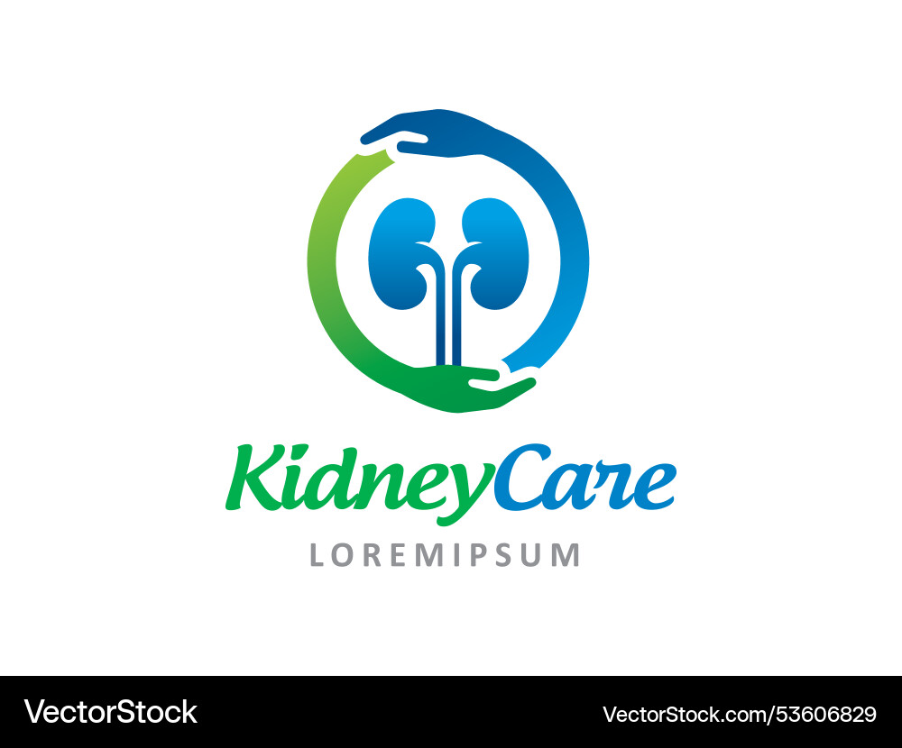 Kidney care logo symbol or icon template Vector Image