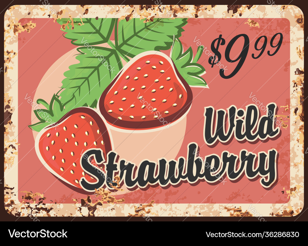 Wild strawberry rusty metal plate price tag Vector Image