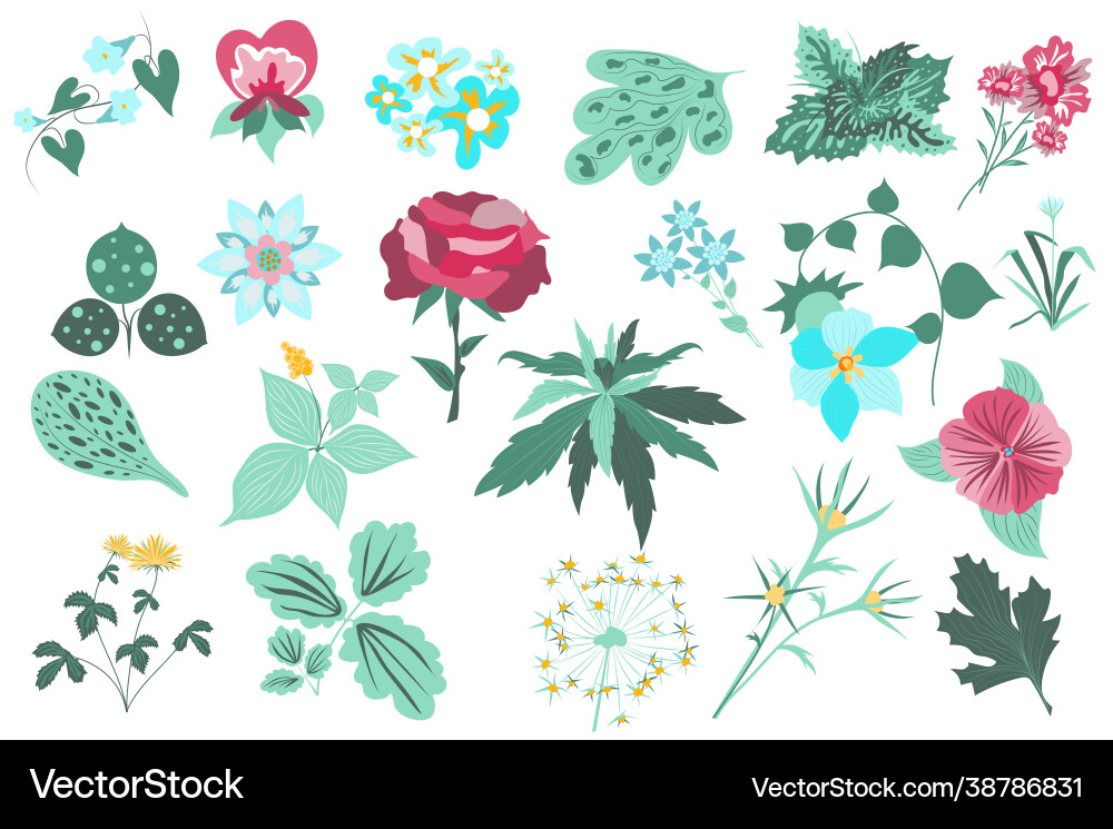 Flower and plants isolated set bundle floral Vector Image