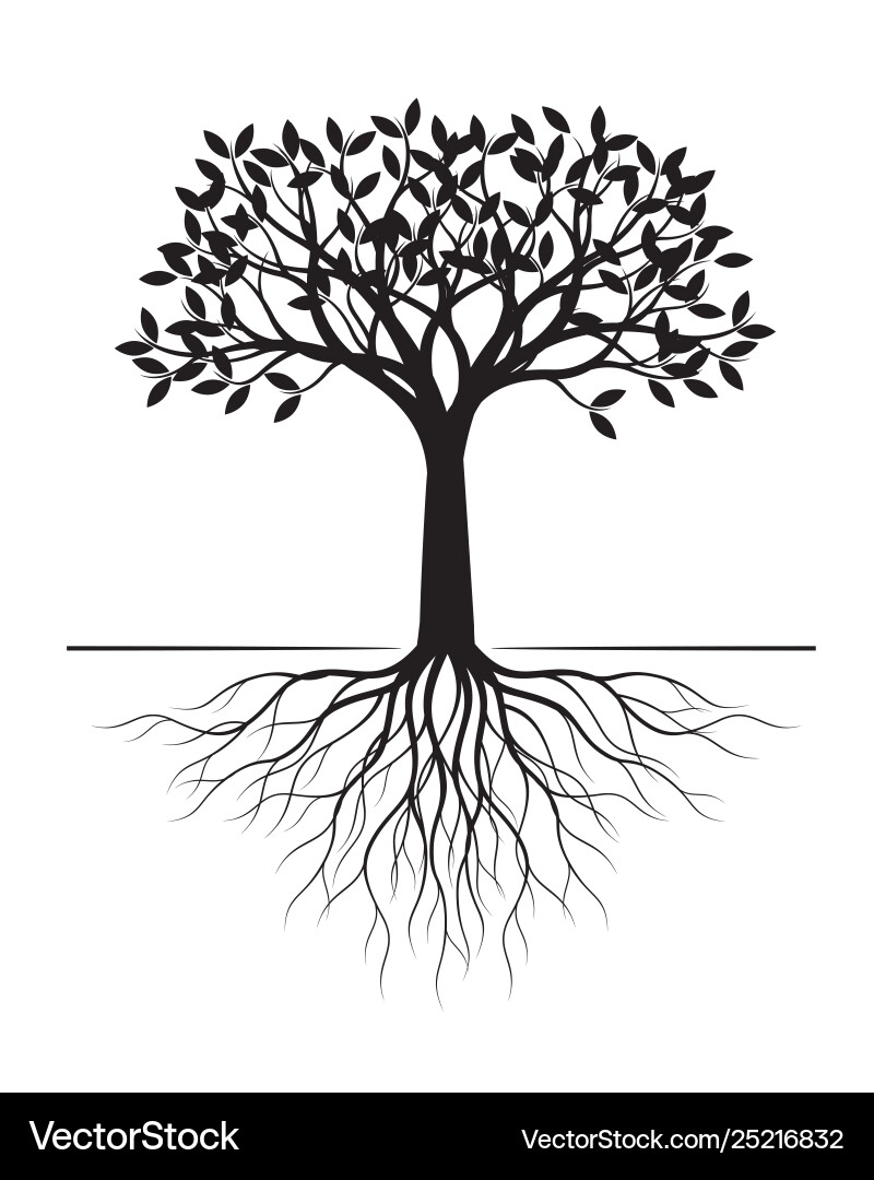 Black tree with roots on white background Vector Image