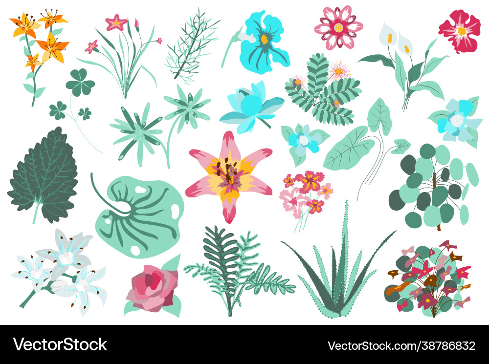 Flower and plants isolated set bundle floral Vector Image