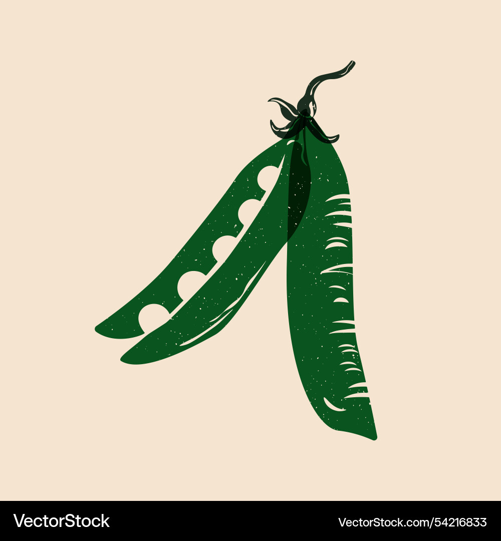 Green pea pod abstract risograph fresh peas Vector Image