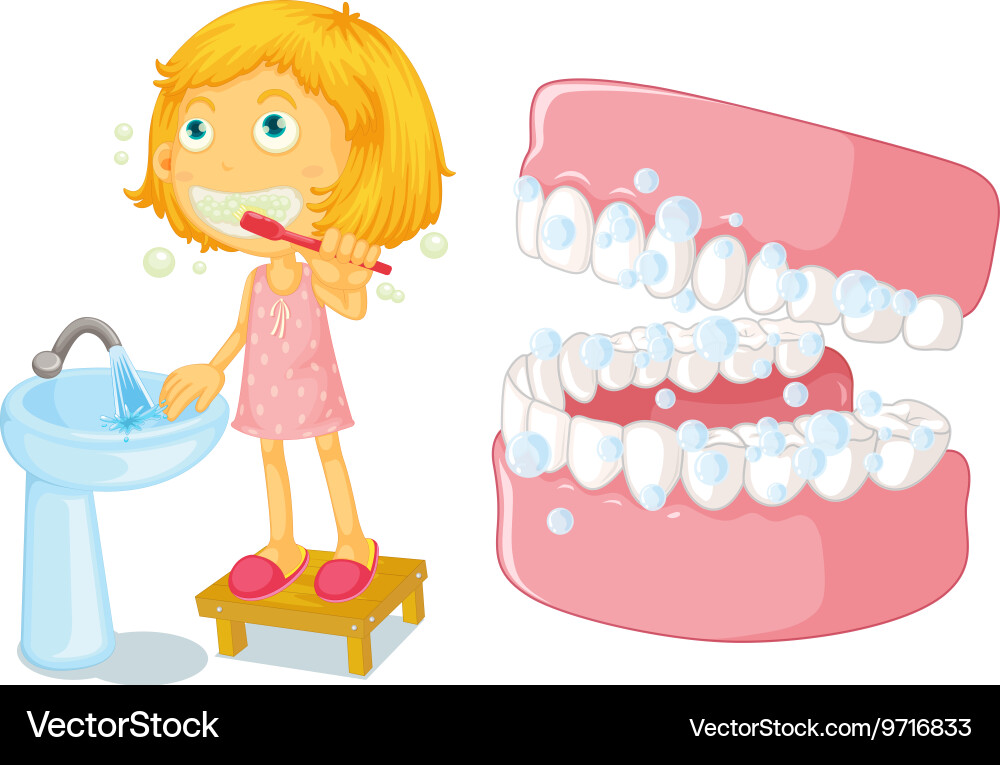 Little girl brushing teeth Royalty Free Vector Image