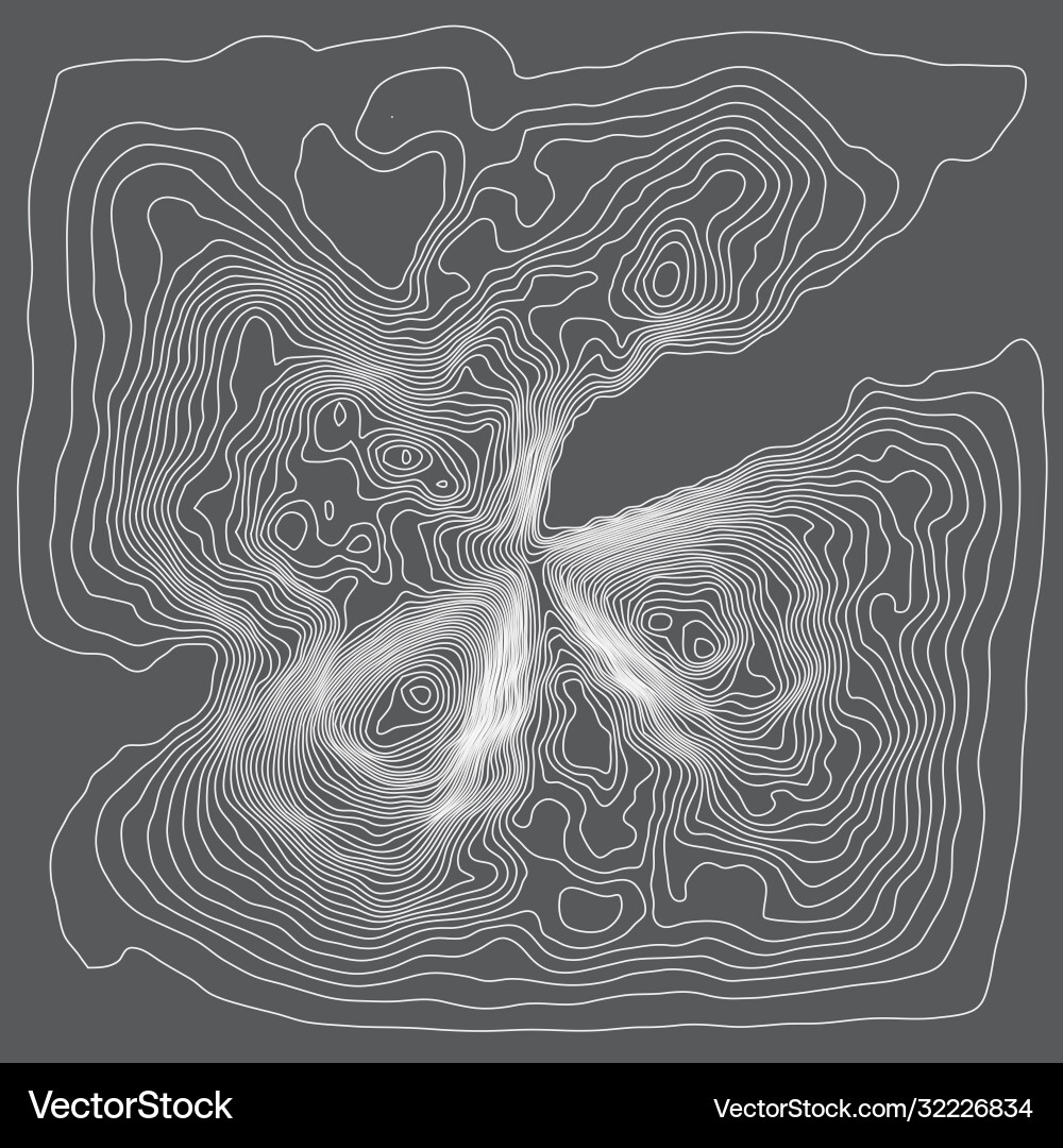 Detailed topographic map design Royalty Free Vector Image